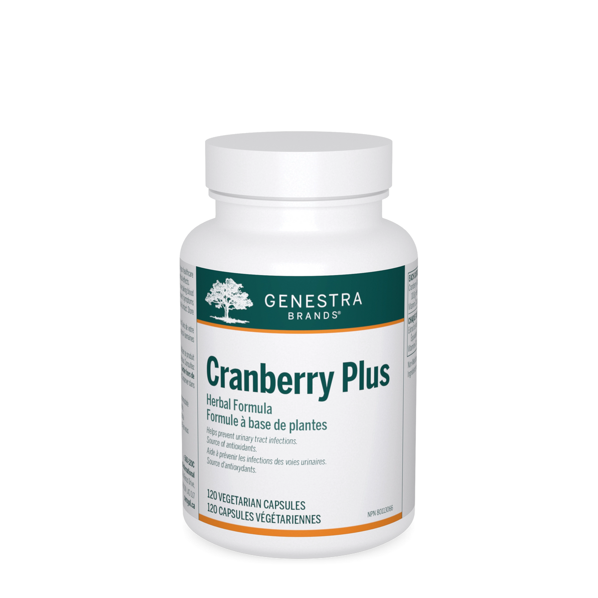 Genestra Cranberry Plus – JoyVIVA